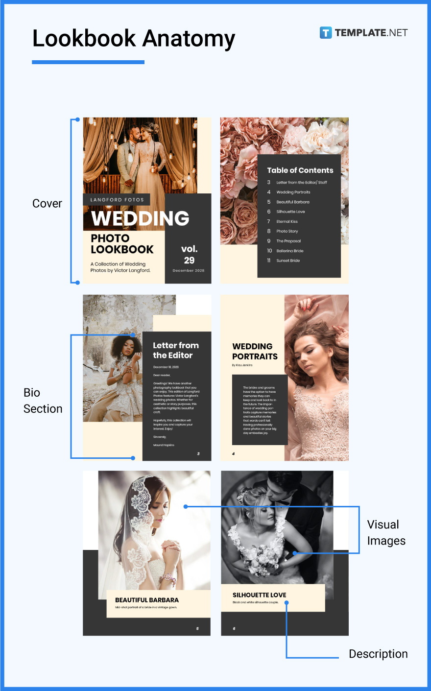 Lookbook - What Is a Lookbook? Definition, Types, Uses | Free & Premium ...