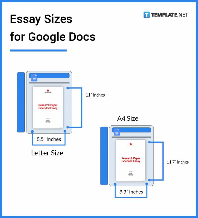 Essay Size Dimension Inches Mm Cms Pixel