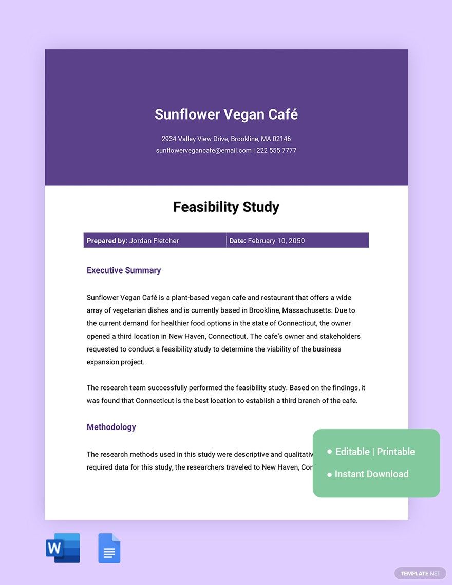 Feasibility Study Ideas - Examples 2023