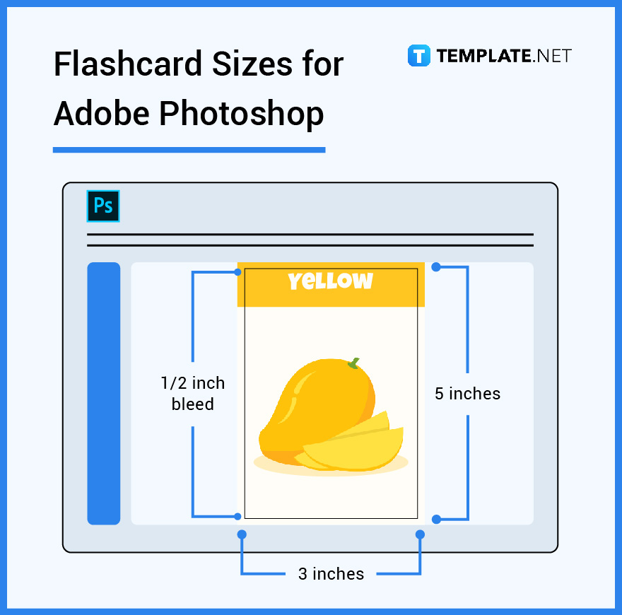 Flashcard Size Dimension Inches Mm Cms Pixel