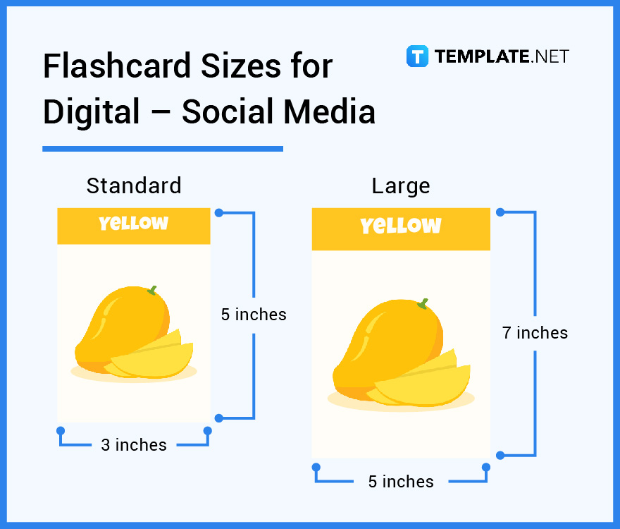 Flashcard Size Dimension Inches Mm Cms Pixel