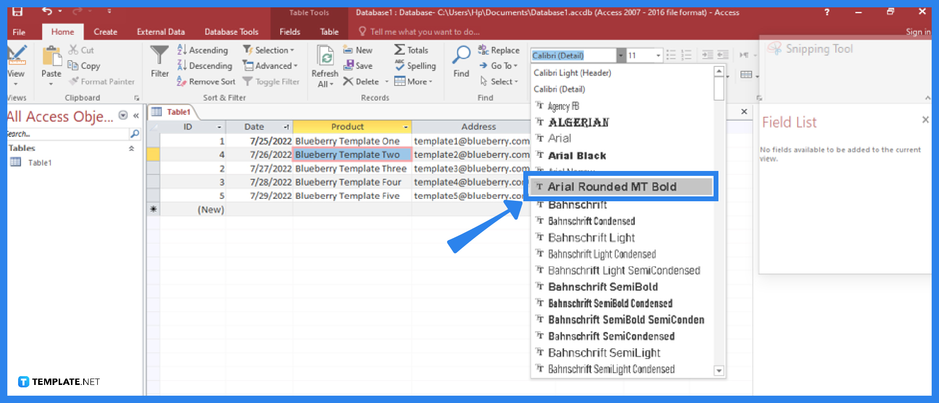 How to Change Font in Microsoft Access | Free & Premium Templates