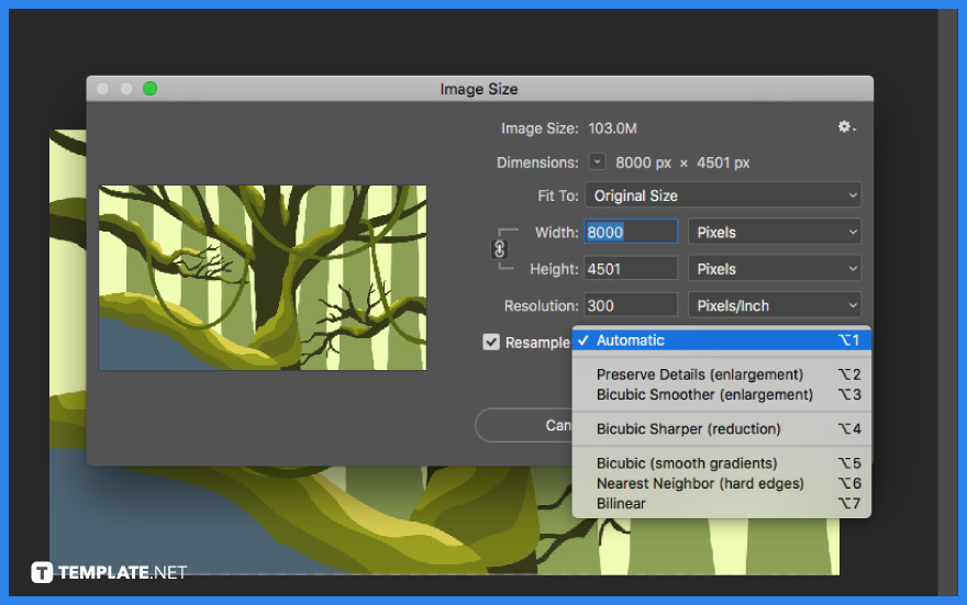 How To Change Resolution In Photoshop
