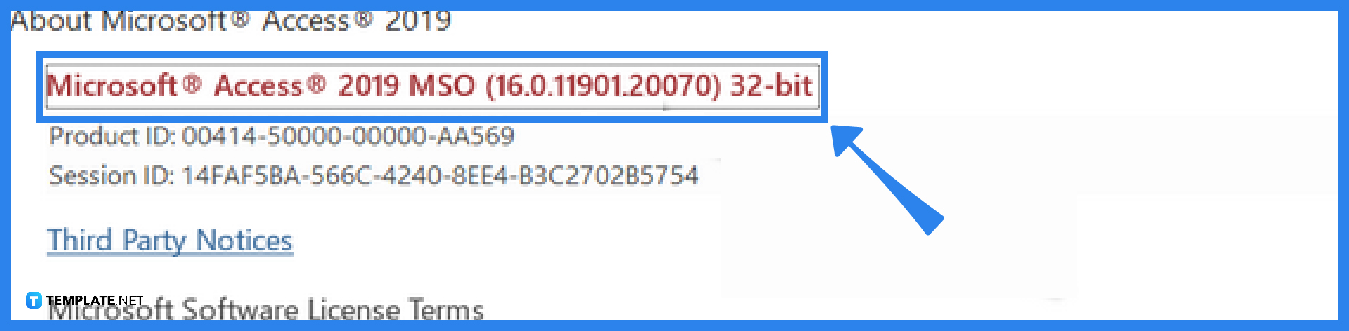 How to Check Microsoft Access Version