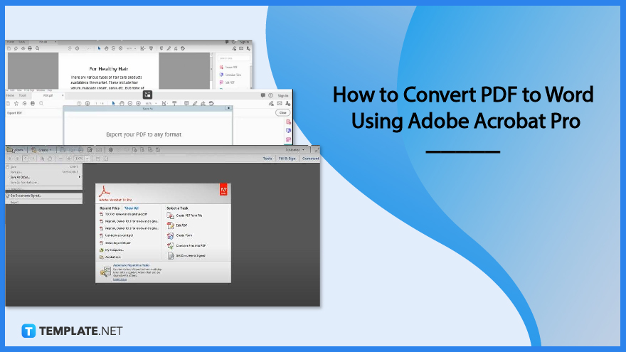 How To Convert PDF To Word Using Adobe Acrobat Pro