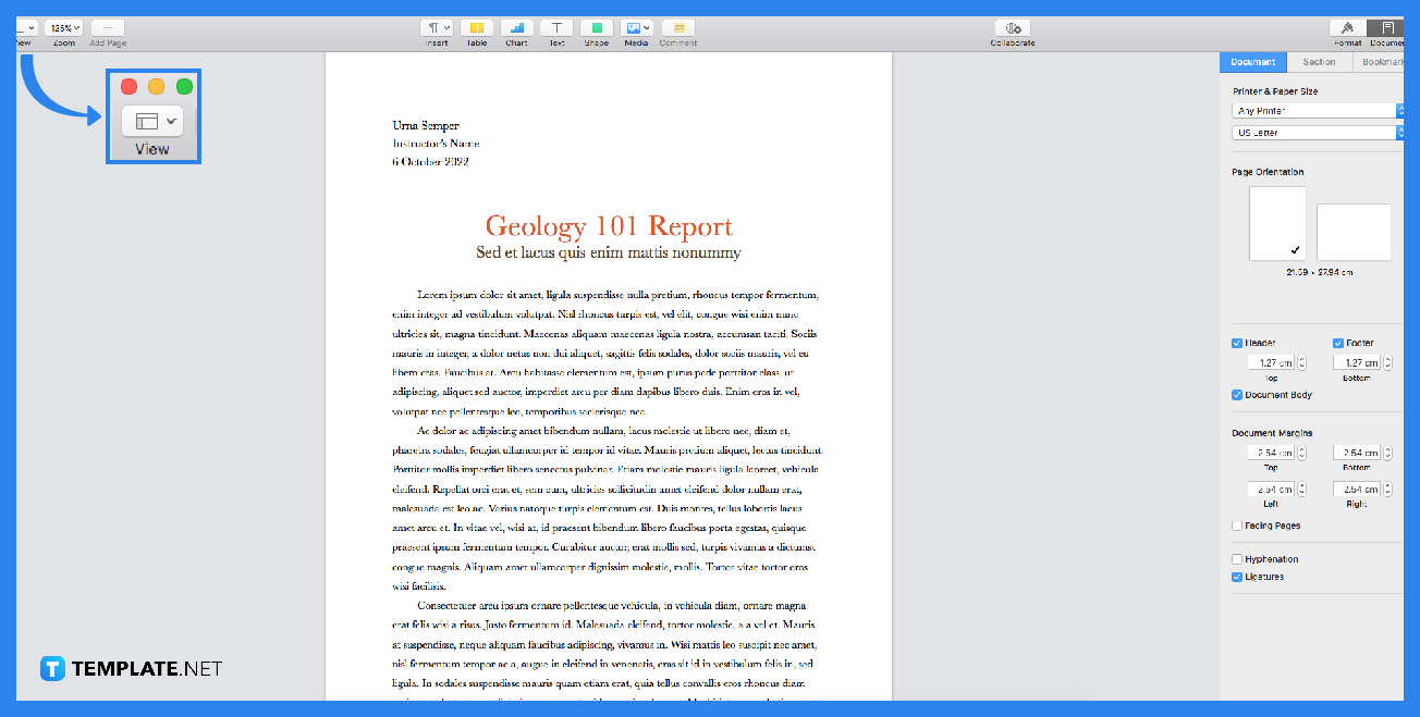 How To Do A Word Count On Apple Pages