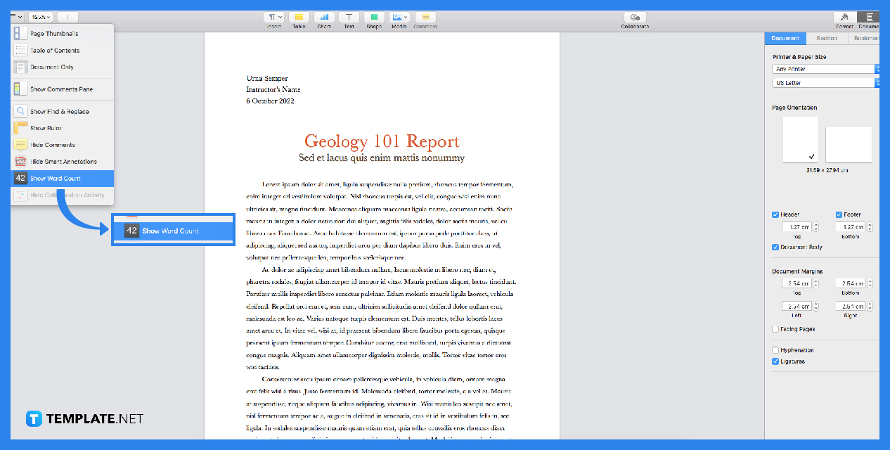 How To Do A Word Count On Apple Pages How To Do A Word Count On Apple Pages