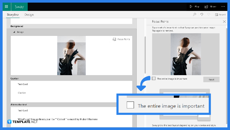 How To Edit Images In Microsoft Sway 
