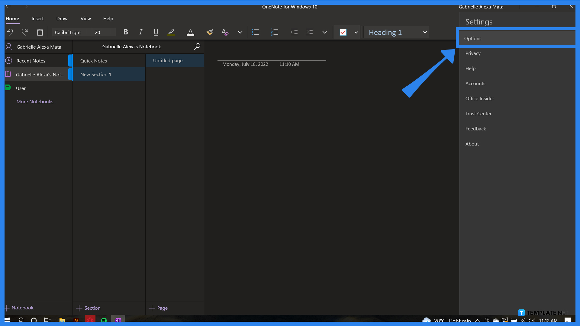 How to Hide Navigation in Microsoft OneNote