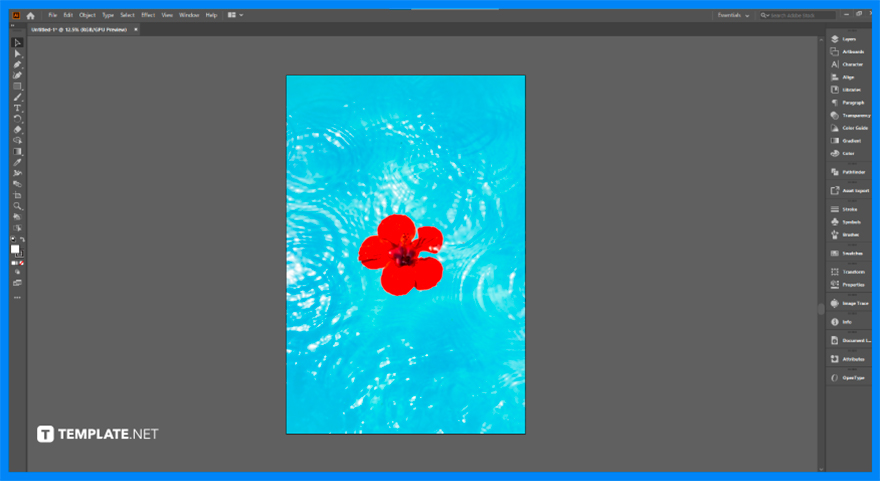 How To Insert PNG File In Adobe Illustrator