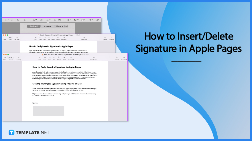 How To Insert Delete Signature In Apple Pages