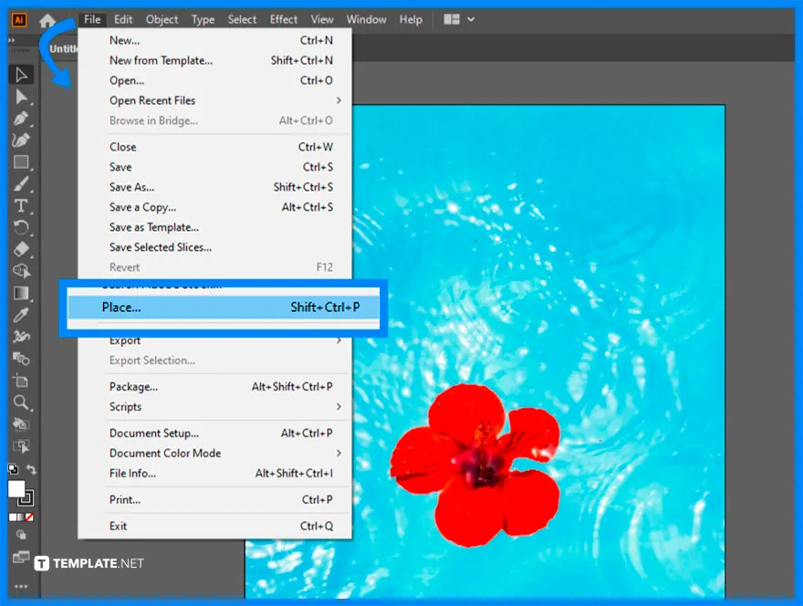 How To Make Create PNG File In Adobe Illustrator Templates Examples