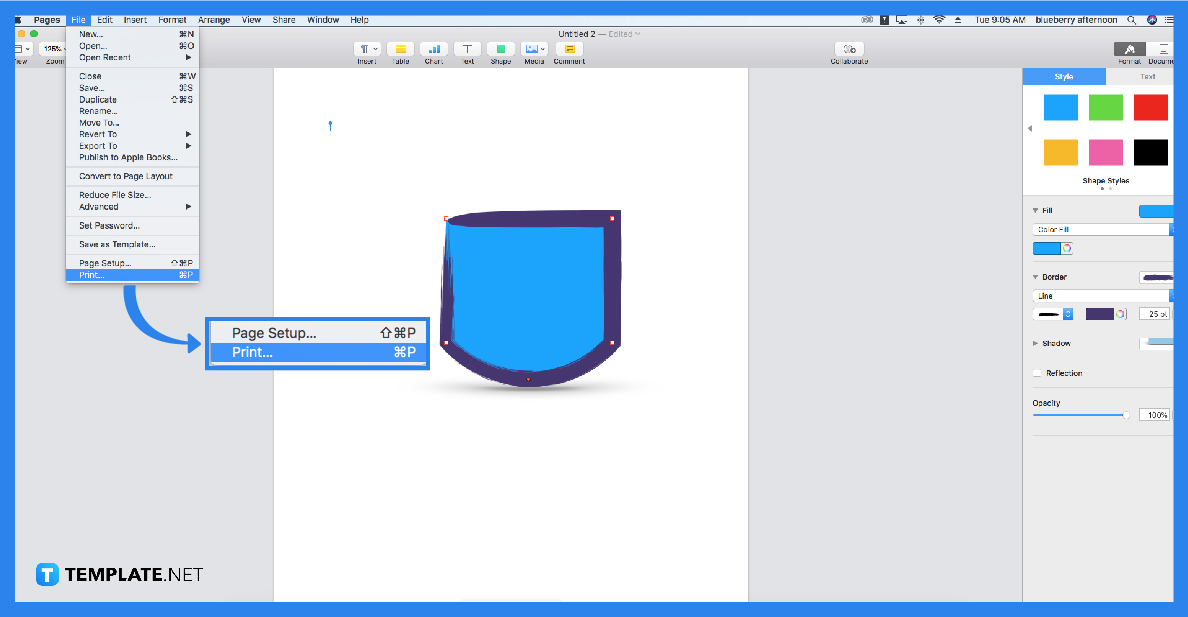 How to Print / Draw in Apple Pages