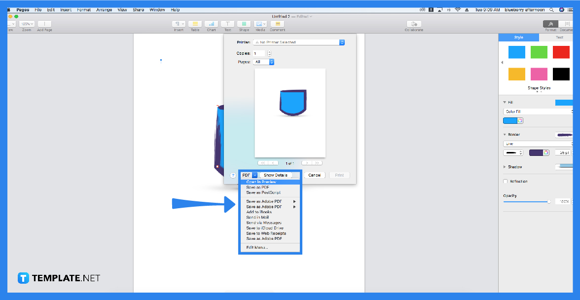 How to Print / Draw in Apple Pages