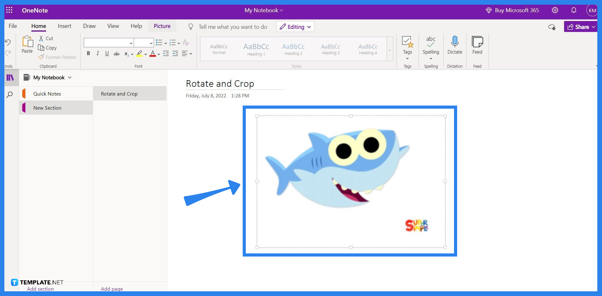 How To Rotate And Crop A Picture In OneNote