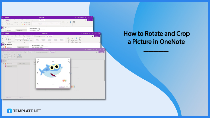 How To Rotate And Crop A Picture In OneNote
