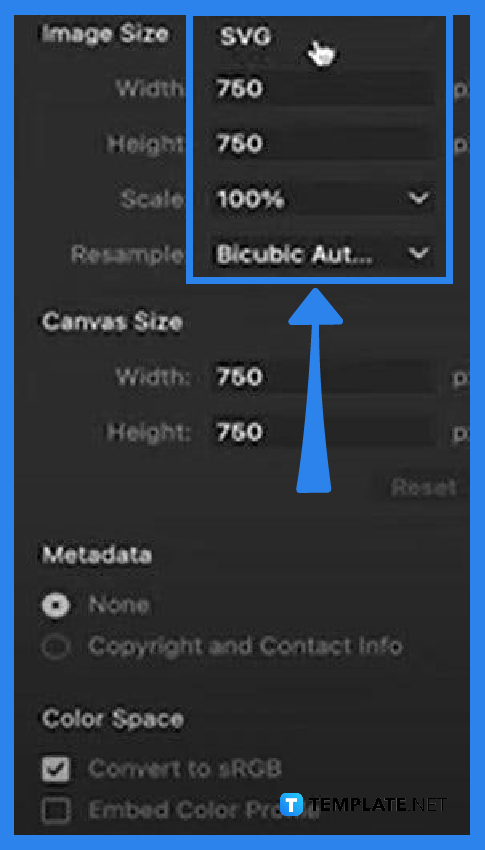 How To Save SVG Files In Photoshop