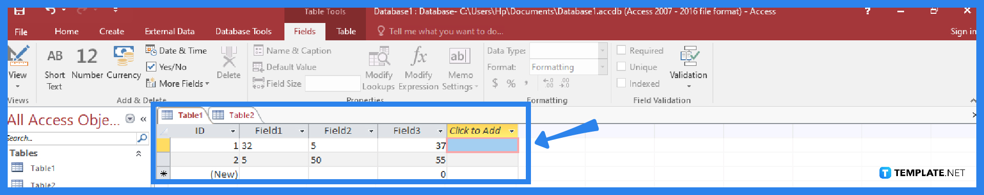 How to Sum Value of Fields in Microsoft Access