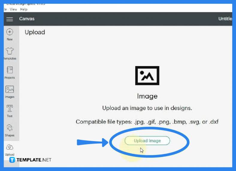 How To Turn A Drawing Into An SVG File