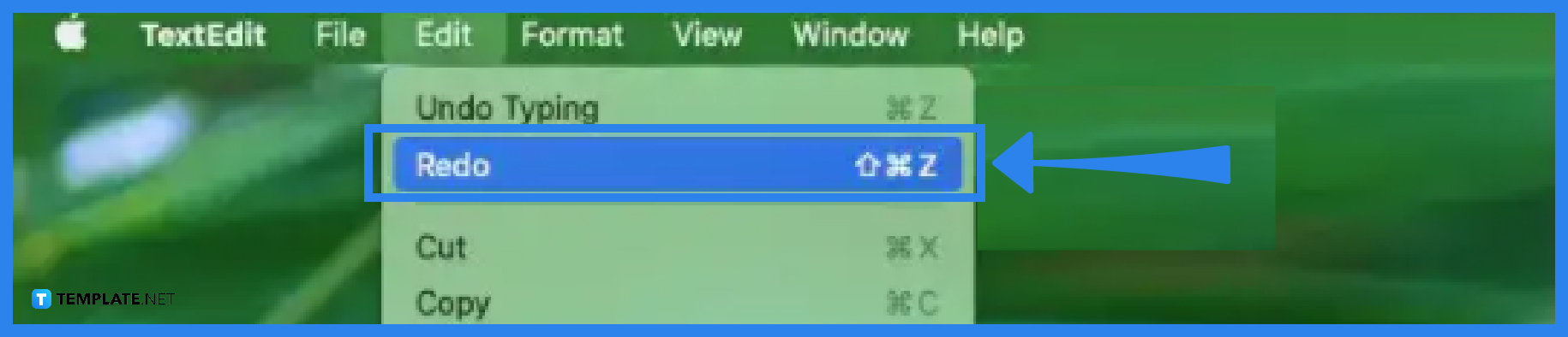 How To Undo Redo In Apple Pages