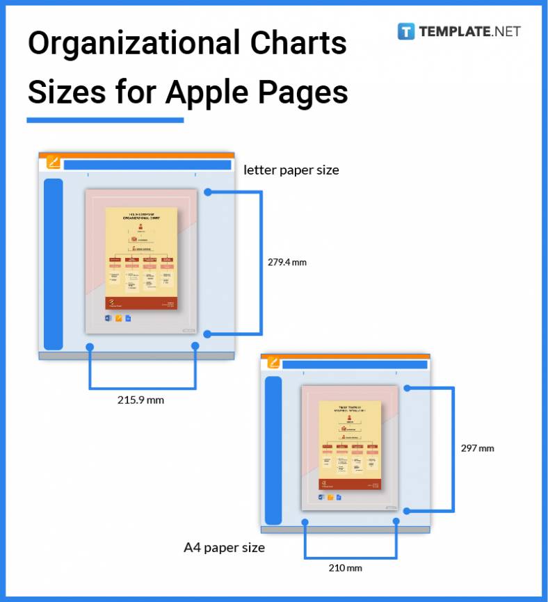 Organizational Charts Size - Dimension, Inches, mm, cms, Pixel