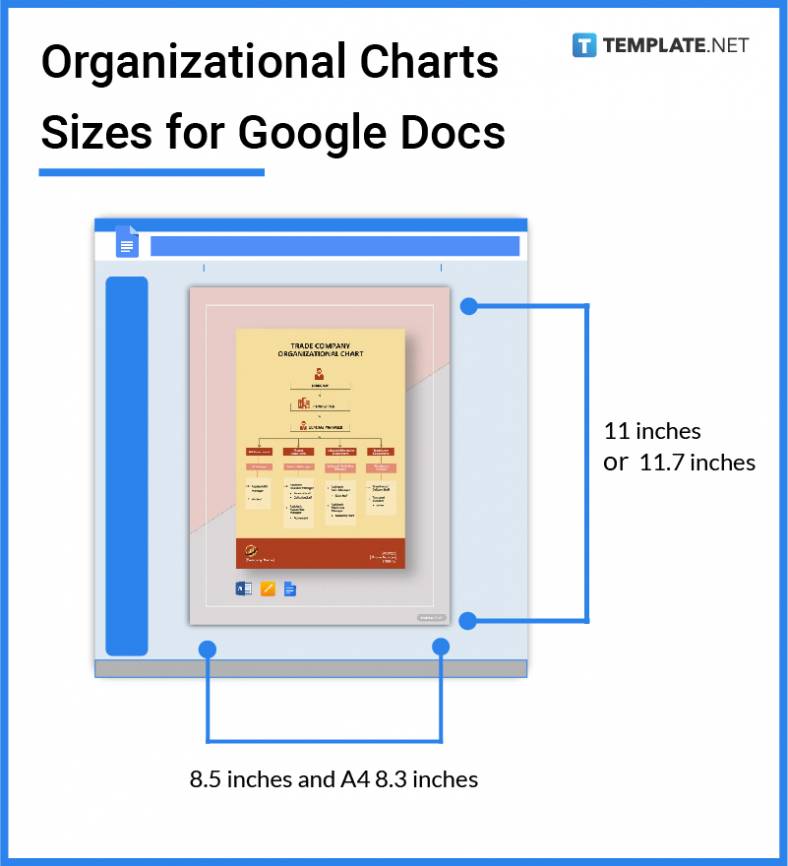 Organizational Charts Size - Dimension, Inches, mm, cms, Pixel