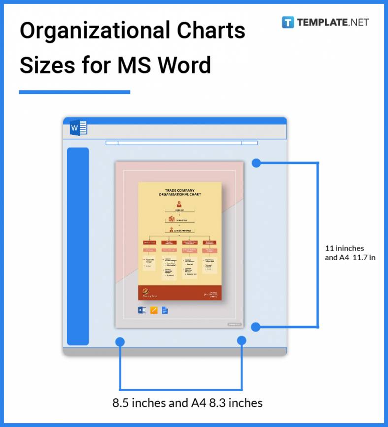 Organizational Charts Size - Dimension, Inches, mm, cms, Pixel