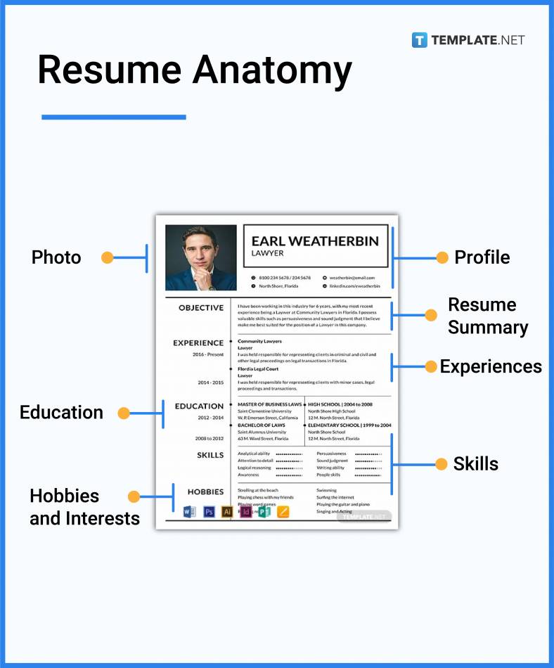 Resume - What is a Resume? Definition, Types, Uses