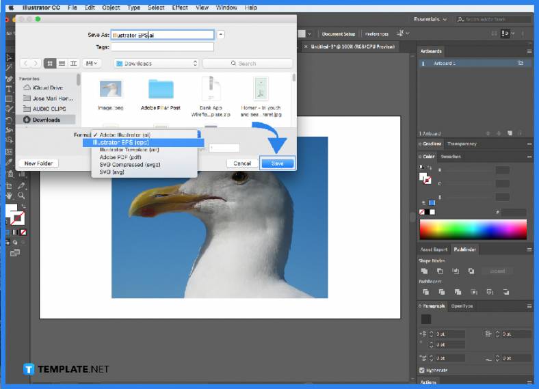 How to Reduce Size of EPS File