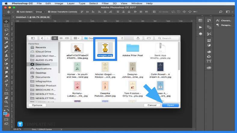 How To Import Png To Photoshop Design Talk