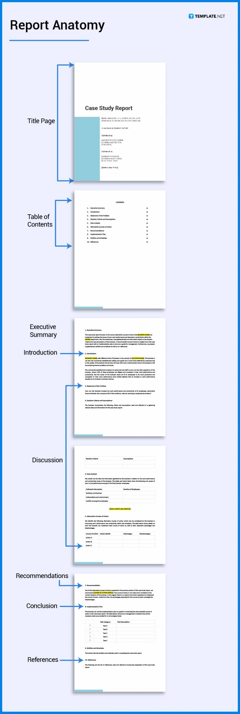 Report - What is a Report? Definition, Types, Uses