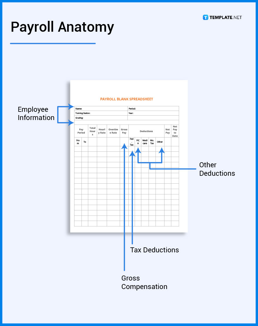 Payroll - What is a Payroll? Definition, Types, Uses | Free & Premium ...