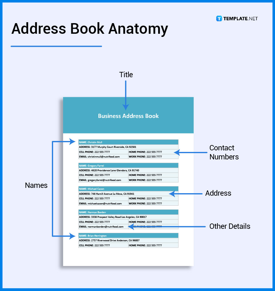 What Is an Address Book? Definition, Types, Uses | Free & Premium Templates
