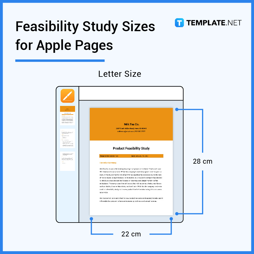 Feasibility Study Size - Dimension, Inches, mm, cms, Pixel