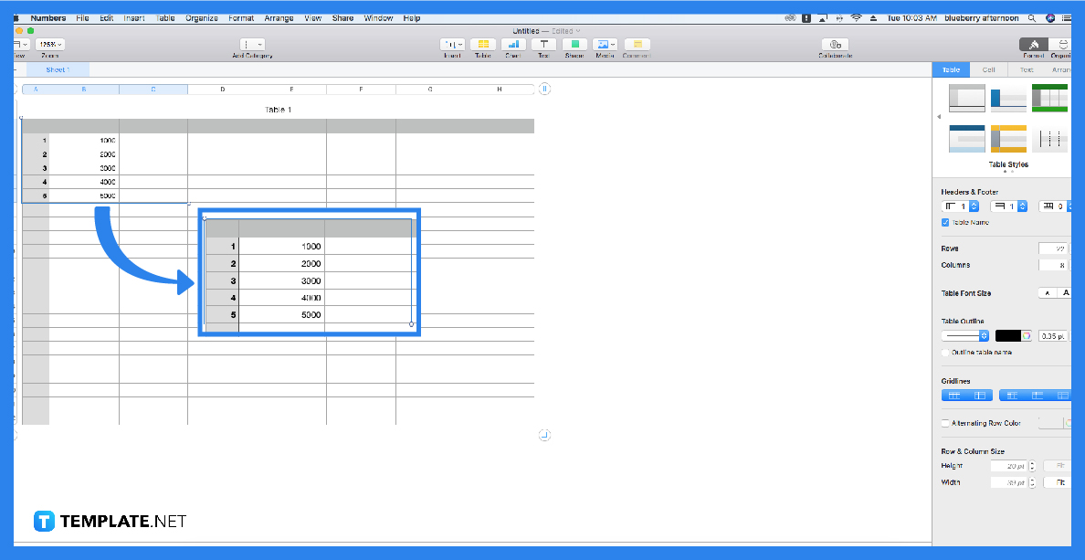 How Do I Add Line Numbers In Apple Pages