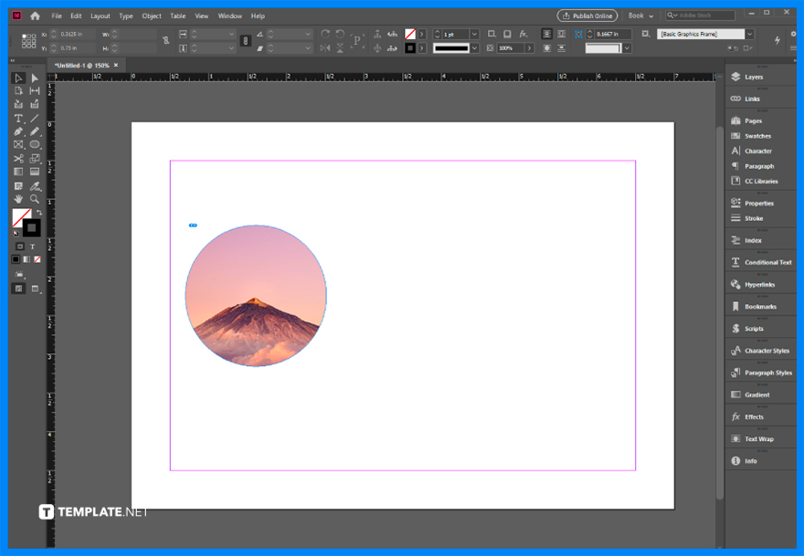 How Do I Resize A Picture On Adobe InDesign