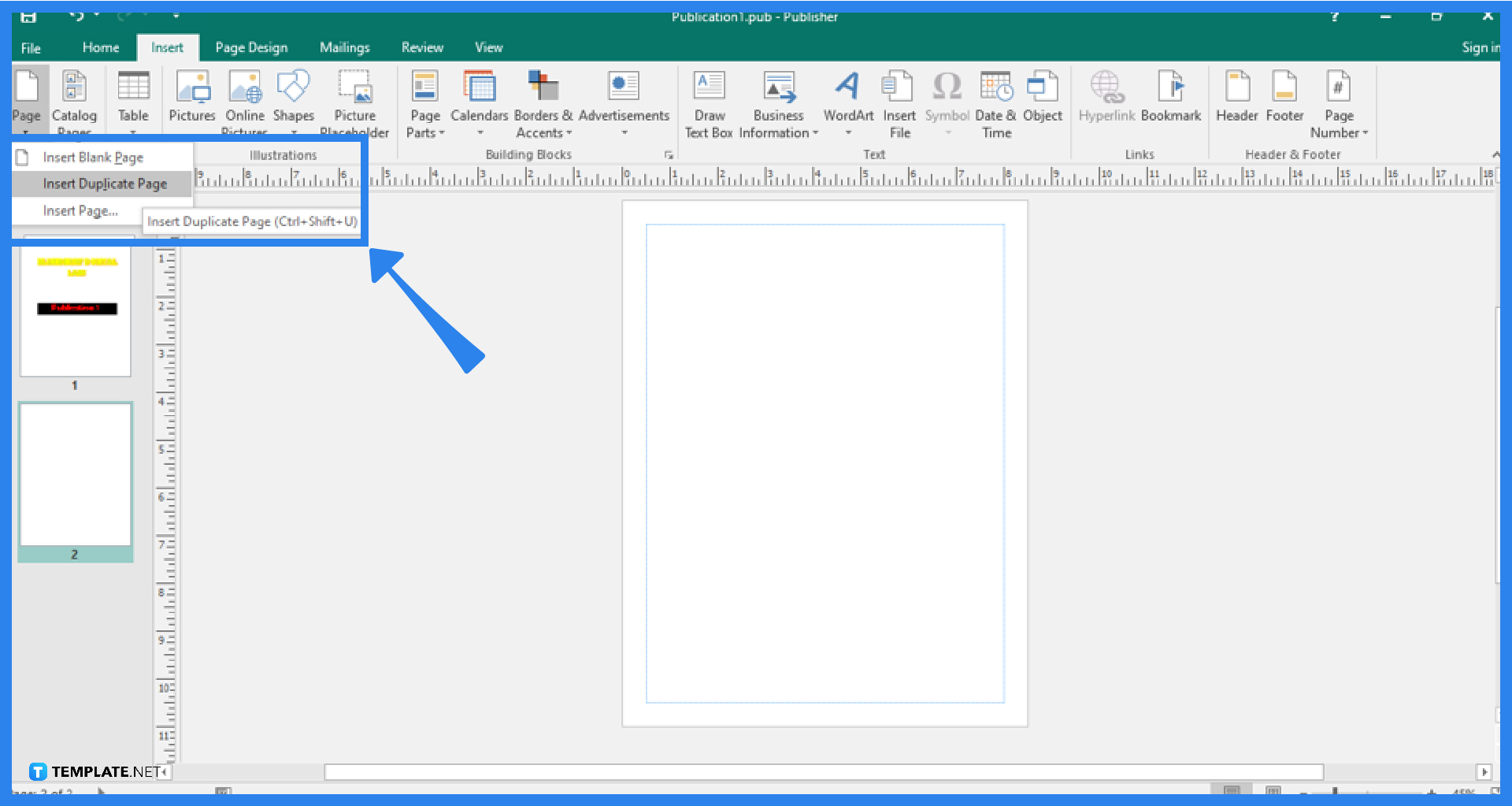 How to Copy and Paste Objects in Microsoft Publisher