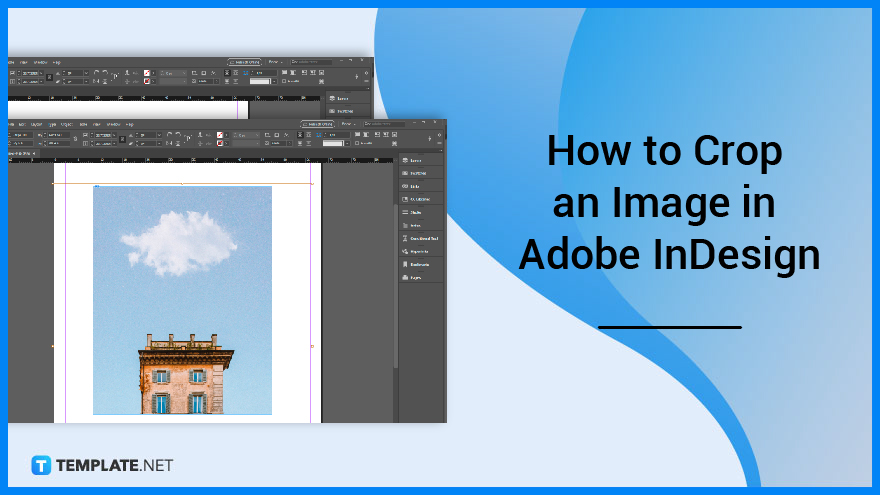 How To Crop An Image In Adobe InDesign
