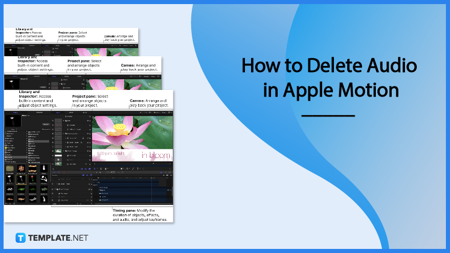 How To Delete Audio In Apple Motion