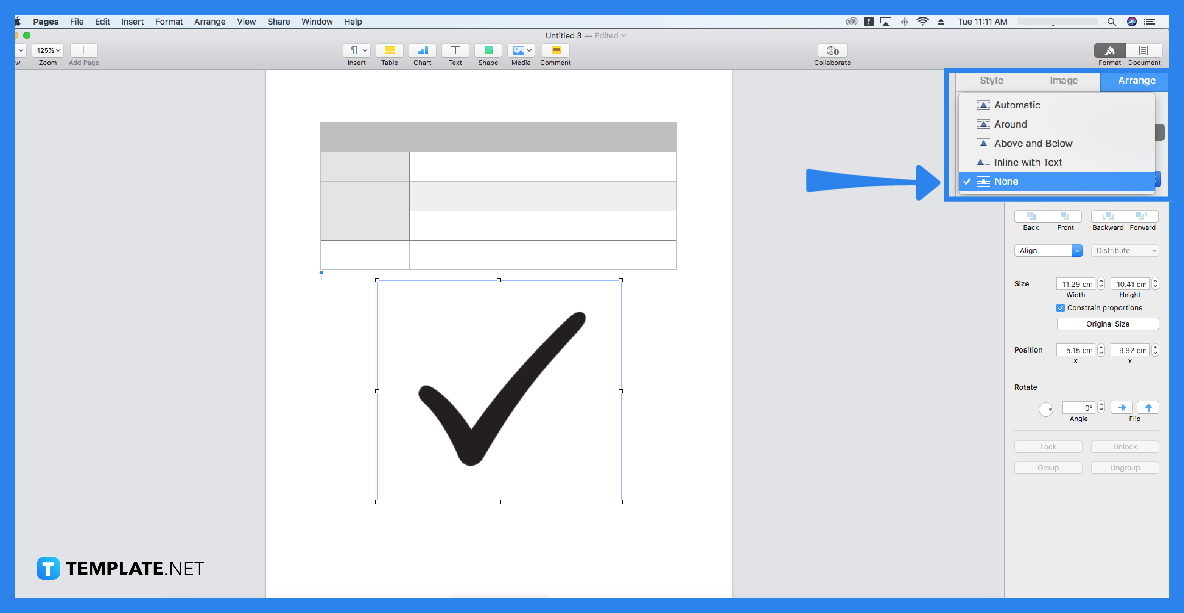 How to Enter Check Mark in Apple Pages