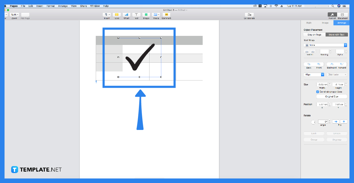 How to Enter Check Mark in Apple Pages