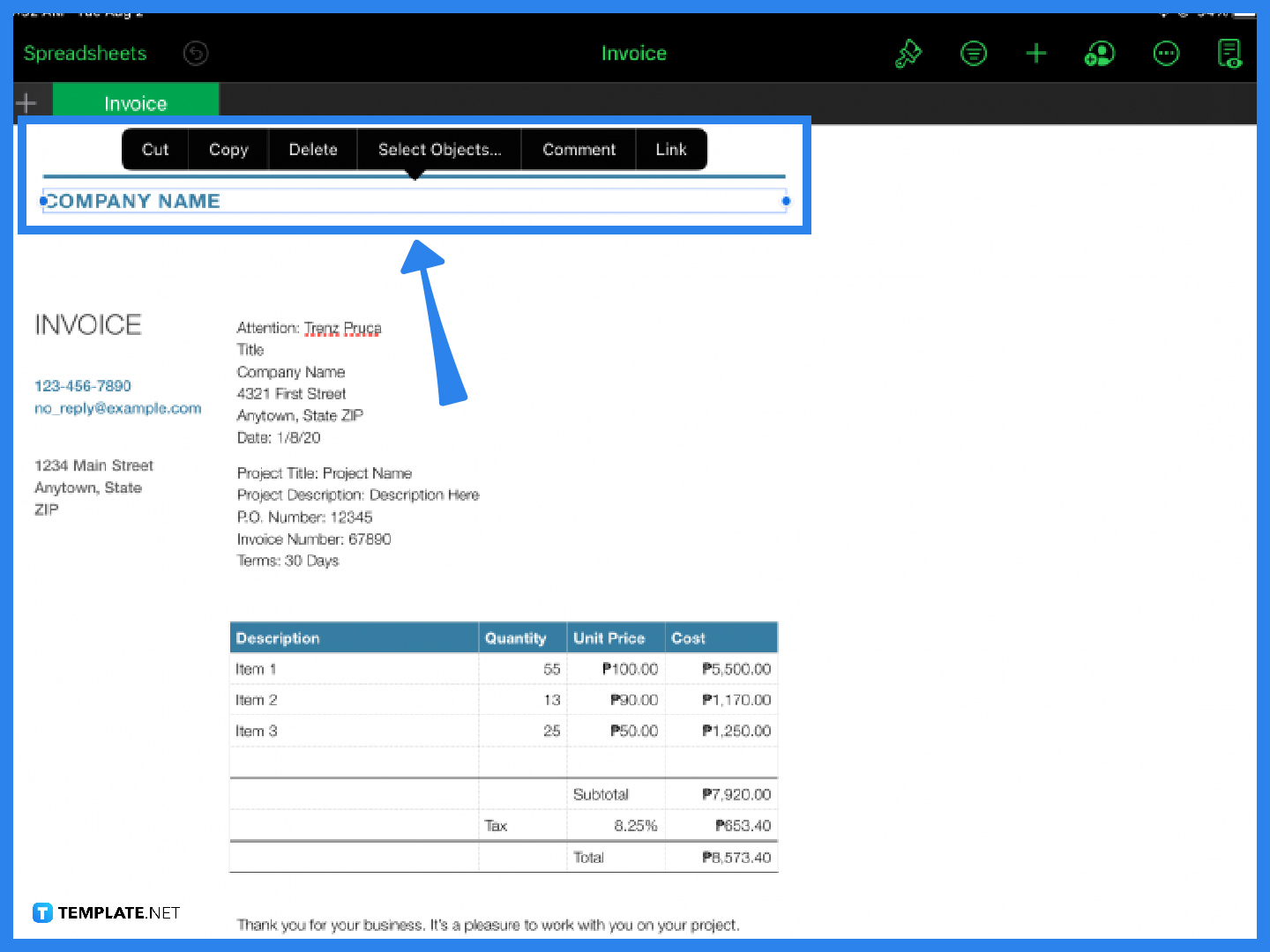 How to Make an Invoice in Apple Numbers | Free & Premium Templates