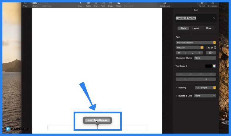 How To Put Page Numbers In Apple Numbers