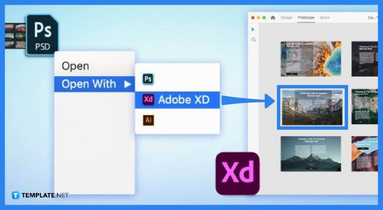 How To Resize SVG In Adobe XD