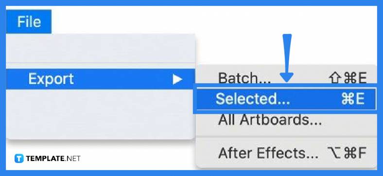 How To Resize SVG In Adobe XD