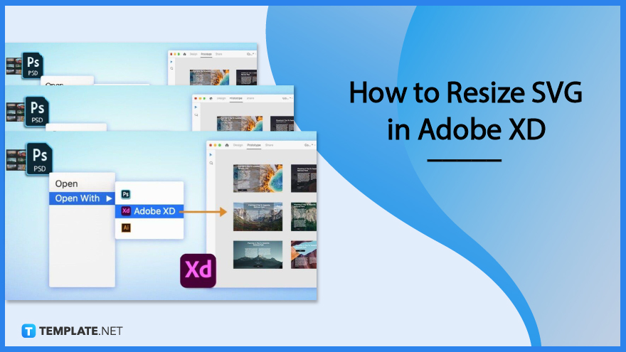 How To Resize SVG In Adobe XD