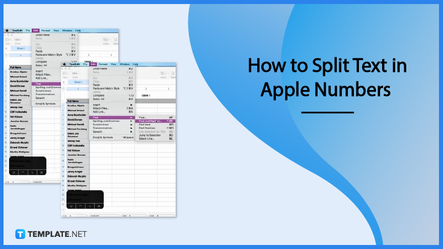 How To Split Text In Apple Numbers