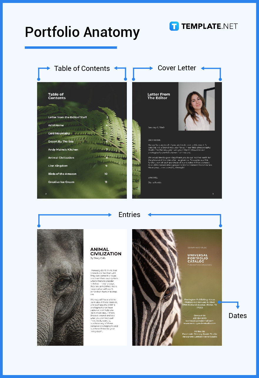 Portfolio - What is a Portfolio? Definition, Types, Uses