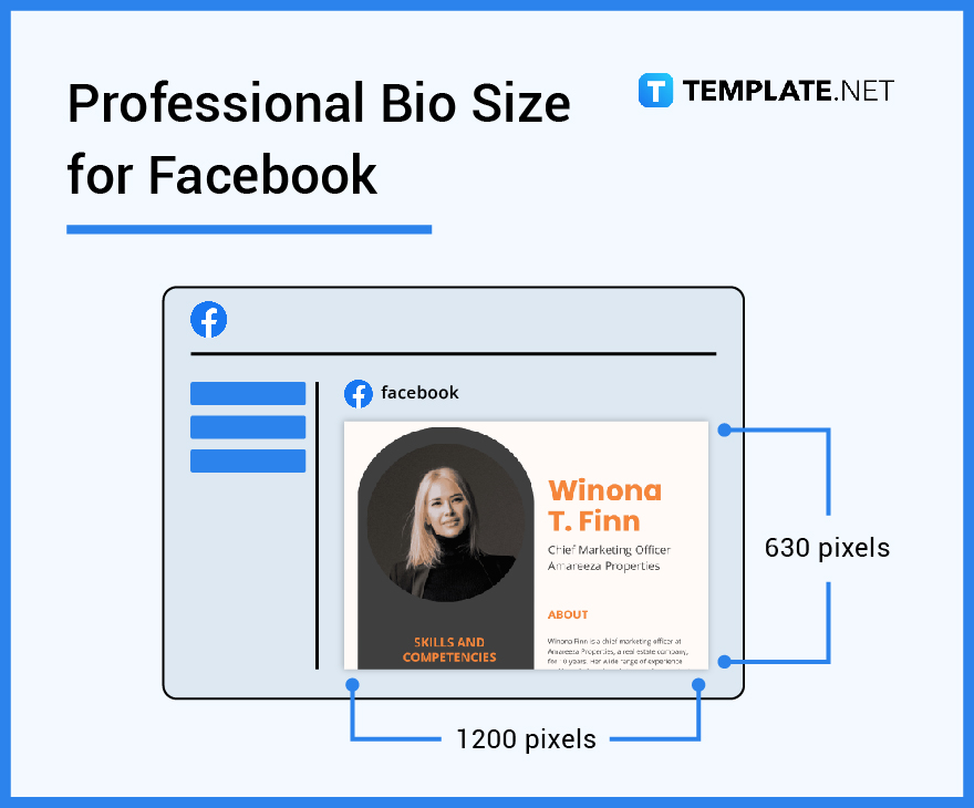 Professional Bio Size - Dimension, Inches, mm, cms, Pixel