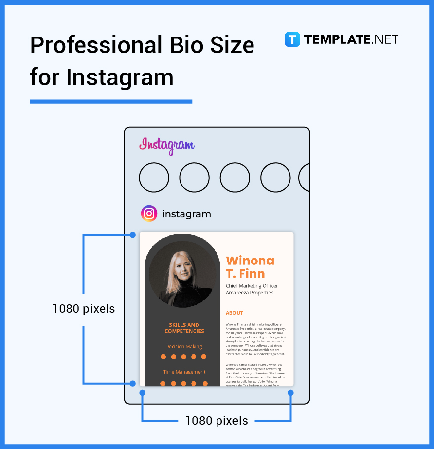 Professional Bio Size - Dimension, Inches, mm, cms, Pixel